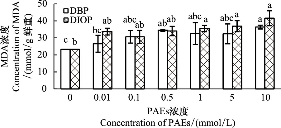 烟草幼苗根系分泌自毒物质种类及PAEs对根系抗氧化性能的影响